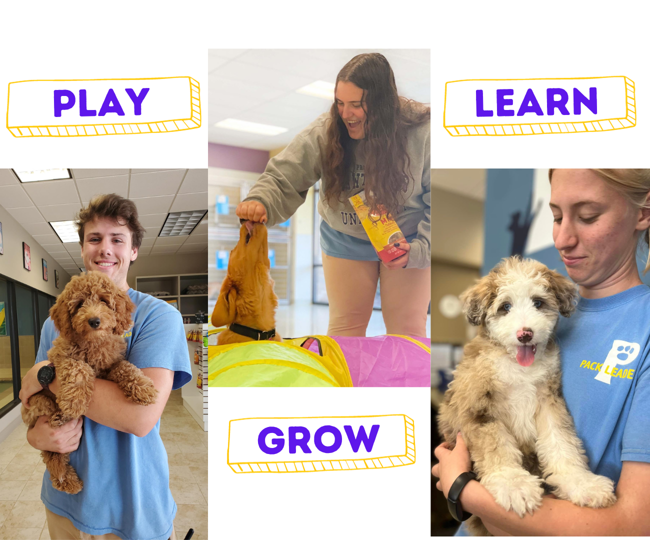 PUPPY PROGRAM - Pawtropolis